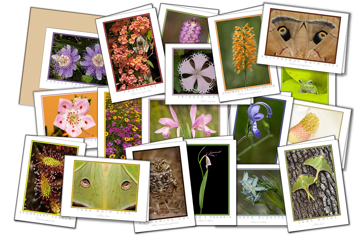 Prints | Nature In Focus