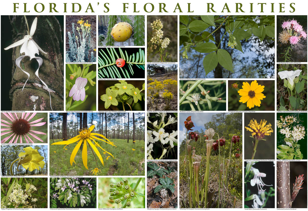Prints | Nature In Focus